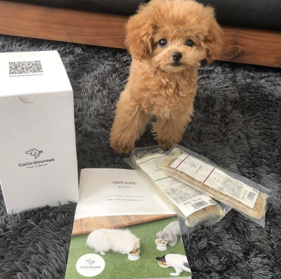 CoCo Gourmetの商品一覧 | ECモールに無い商品の仕入れならorosy（オロシー）